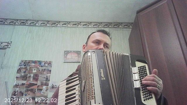 Аккордеон: "Маленькой ёлочке холодно зимой"