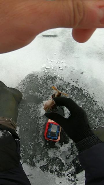 ОКУНЬ НА БЛЕСНУ/ЛОВЛЯ ОКУНЯ В ЗАТОНАХ РЕКИ САМАРА/ОКУНЬ ПО ПЕРВОЛЕДЬЮ/РЫБАЛКА В САМАРЕ/РЫБАК 87