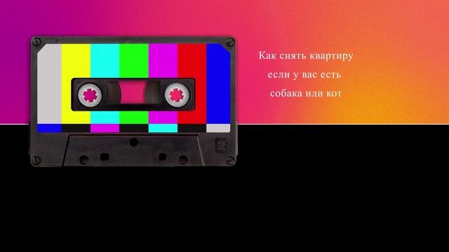 Как снять квартиру, если у вас есть собака или кот