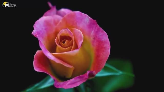 Vocal Trance Show #7 (HD)