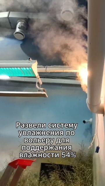 Микроклимат для китоглава