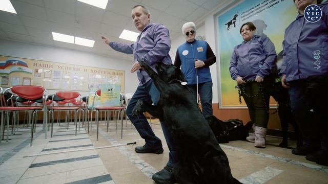 Щенок ВИК. Итоговое тестирование в Новый год