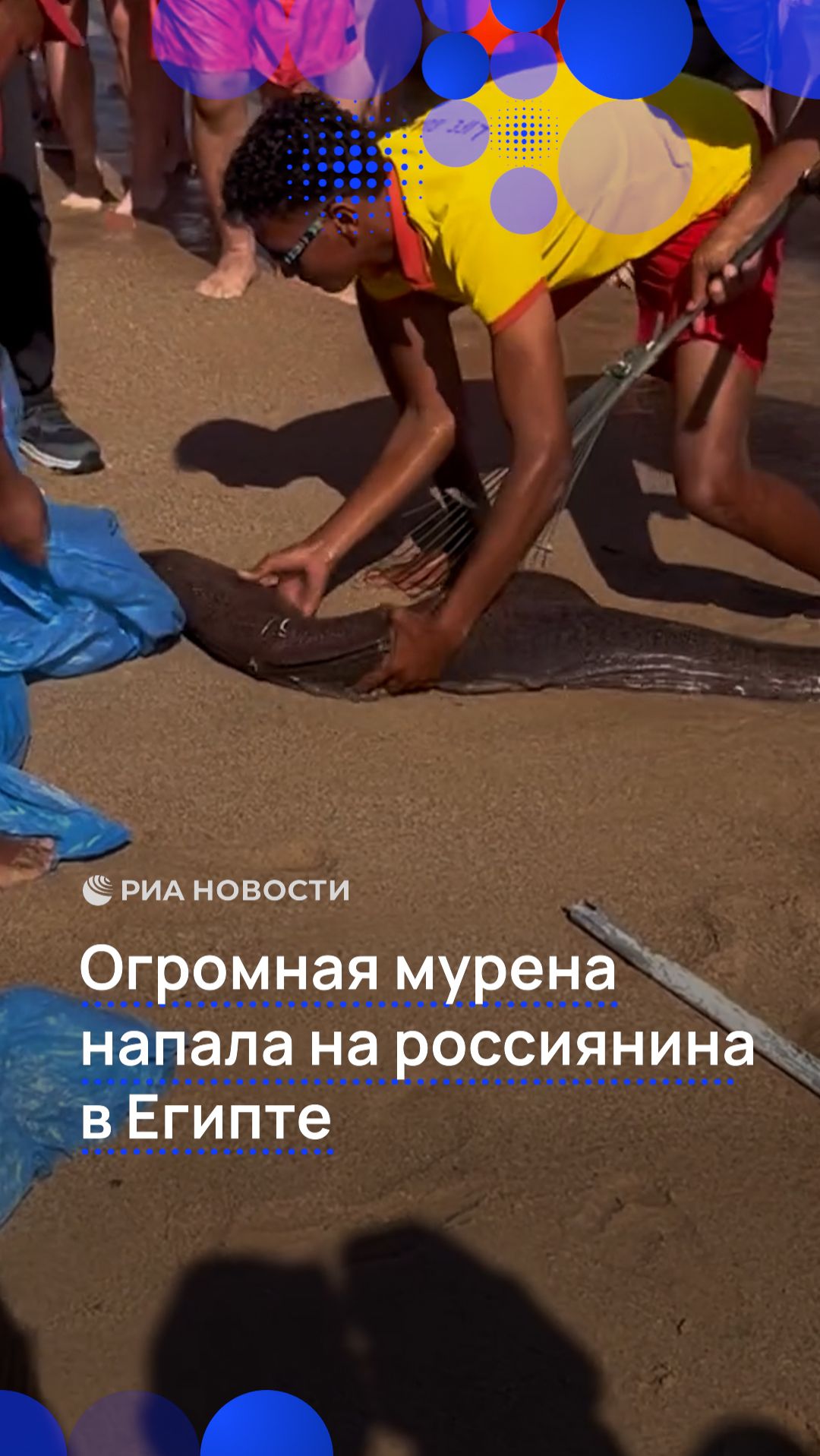 Огромная мурена напала на россиянина в Египте