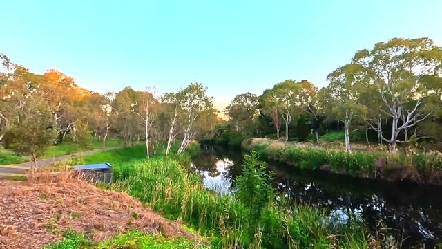 Из далека долго течет тихая река