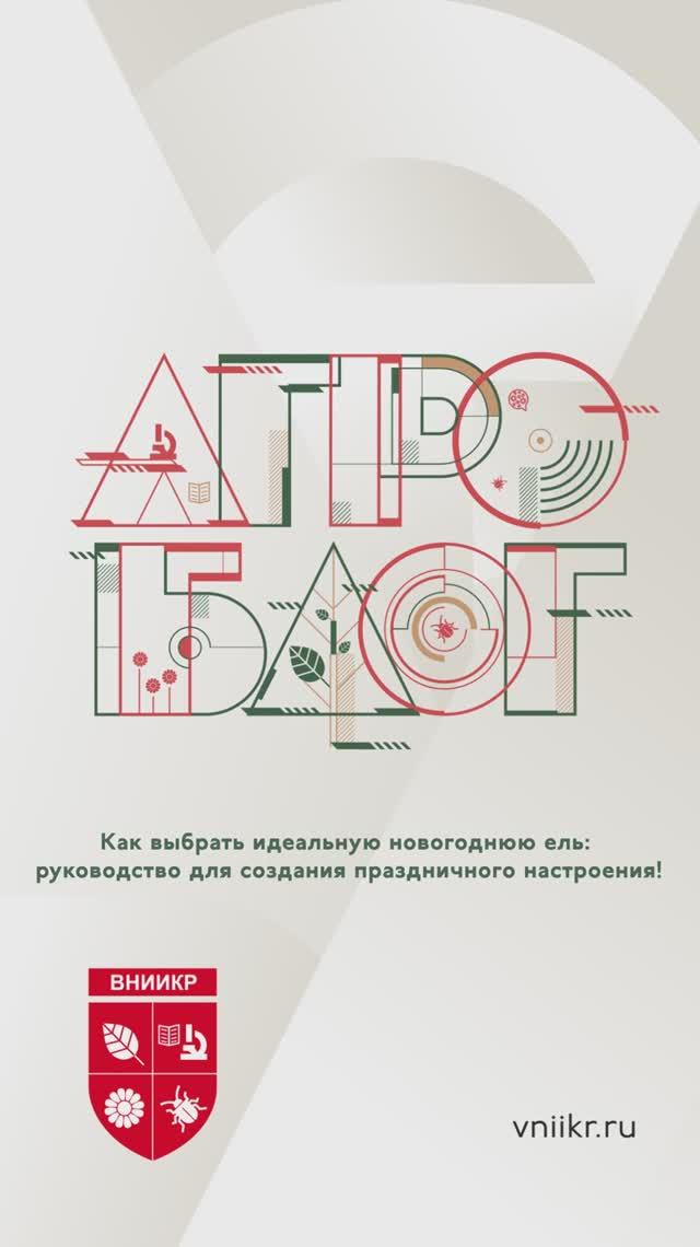 Руководство для праздничного настроения: выбираем новогоднюю ель