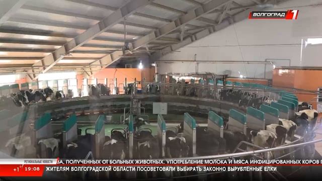 Региональные новости 23.12.25