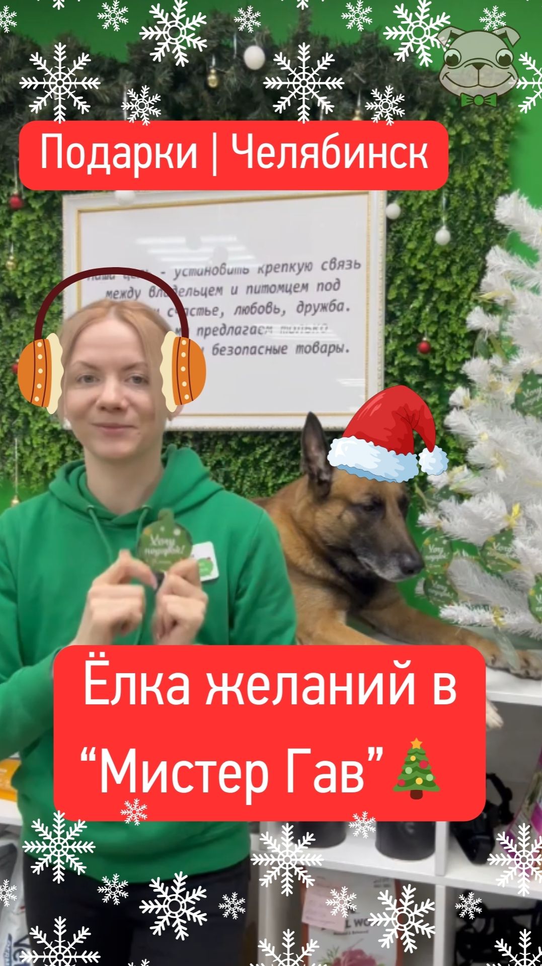 Ёлка желаний в «Мистер Гав» 🎄 Подарки | Челябинск