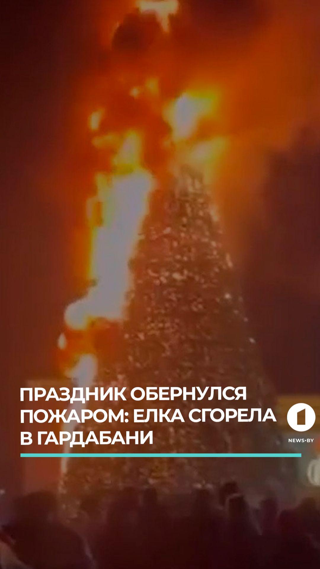 Гардабани: новогодняя елка сгорела на празднике