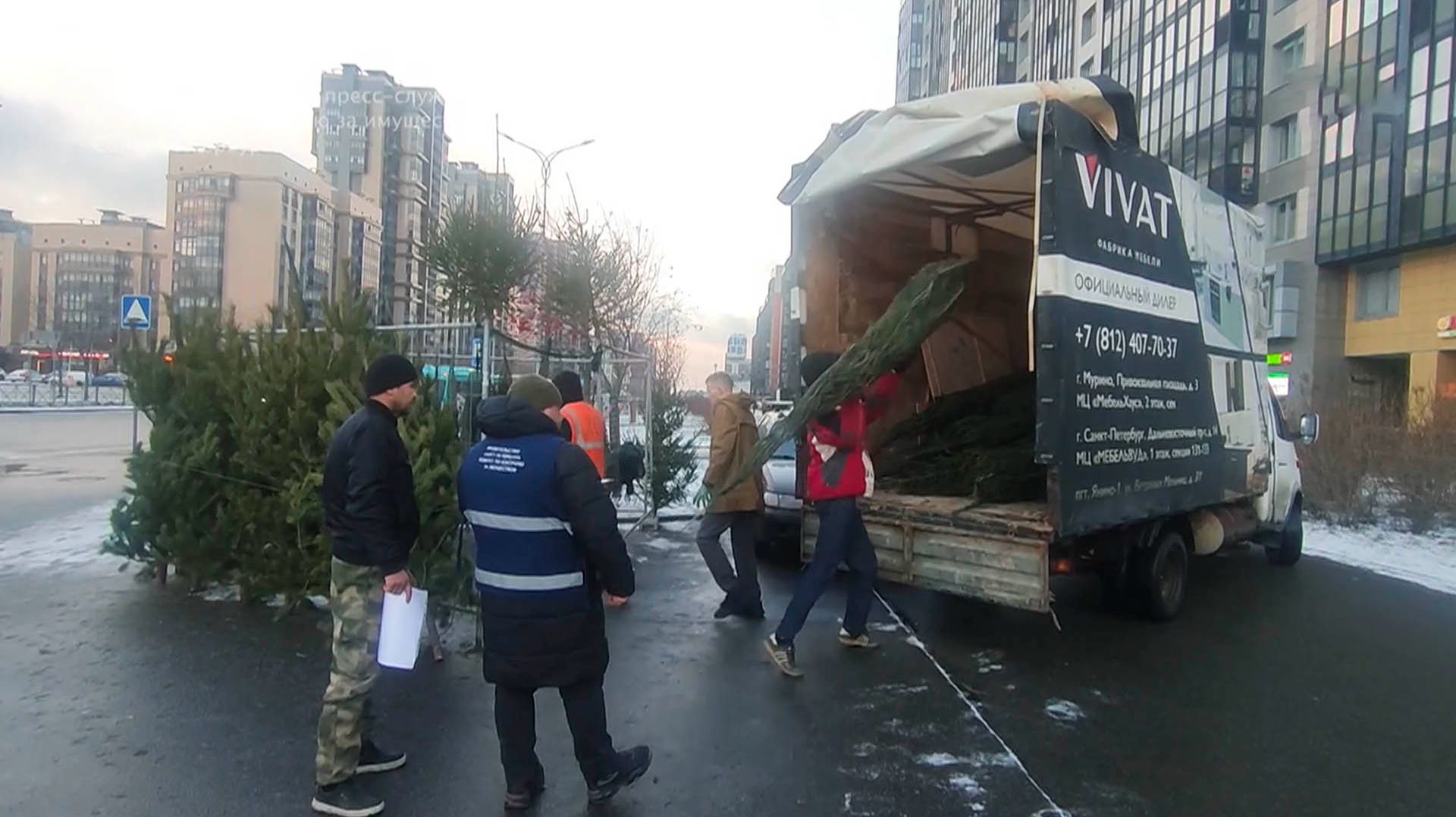 Более 200 елей изъяли с нелегальных базаров в Санкт-Петербурге