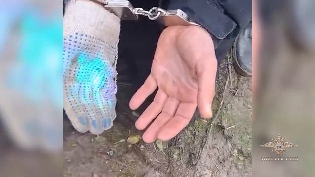 Ирина Волк: Ликвидирован канал поставки гашиша из стран Евросоюза в Россию транзитом через Беларусь