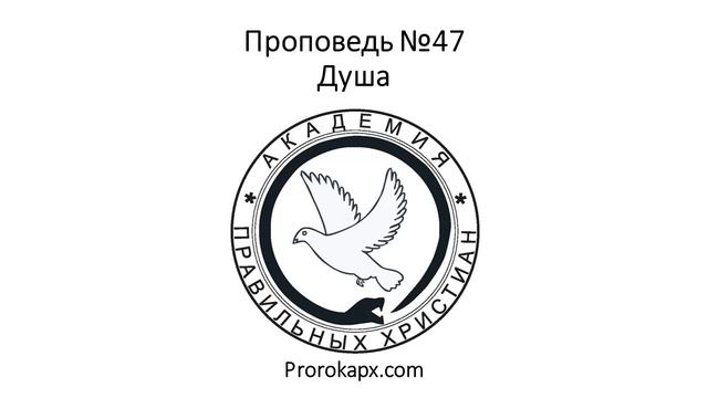 Проповедь №47 - Душа