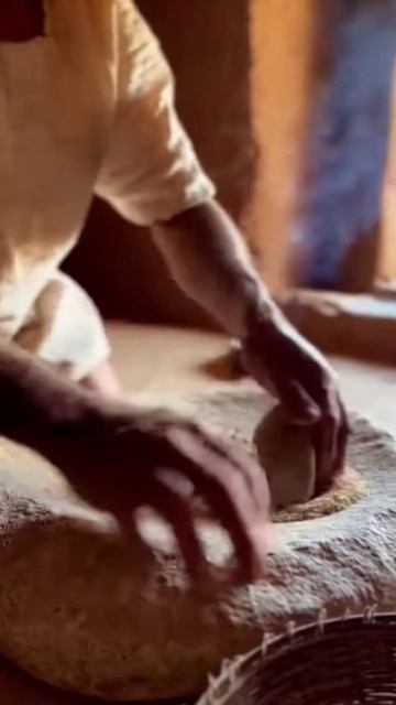 Неолитическая революция: факт истории, изменивший мир