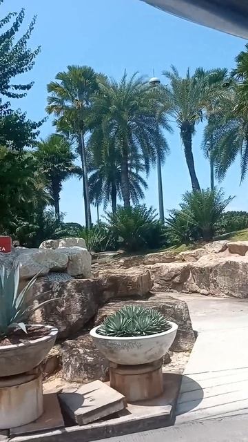 Электрокар + 600 акров красоты = ❤️ Nong Nooch на электрокаре: тропики, сады и тишина