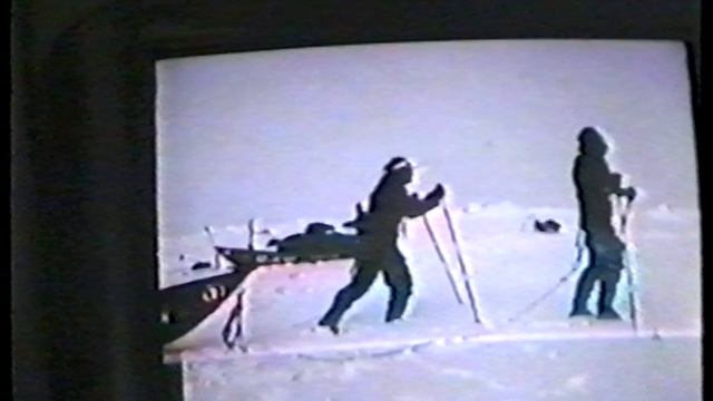 Поход к Северному полюсу на собаках в 1995 г. ч4. Виктор Боярский.  Комиссия научного туризма  РГО