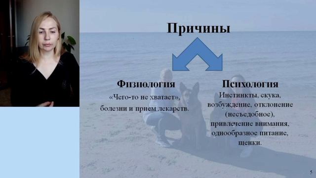 Ознакомительная часть из видео-урока "Хватит подбирать". Если собака все подбирает.
