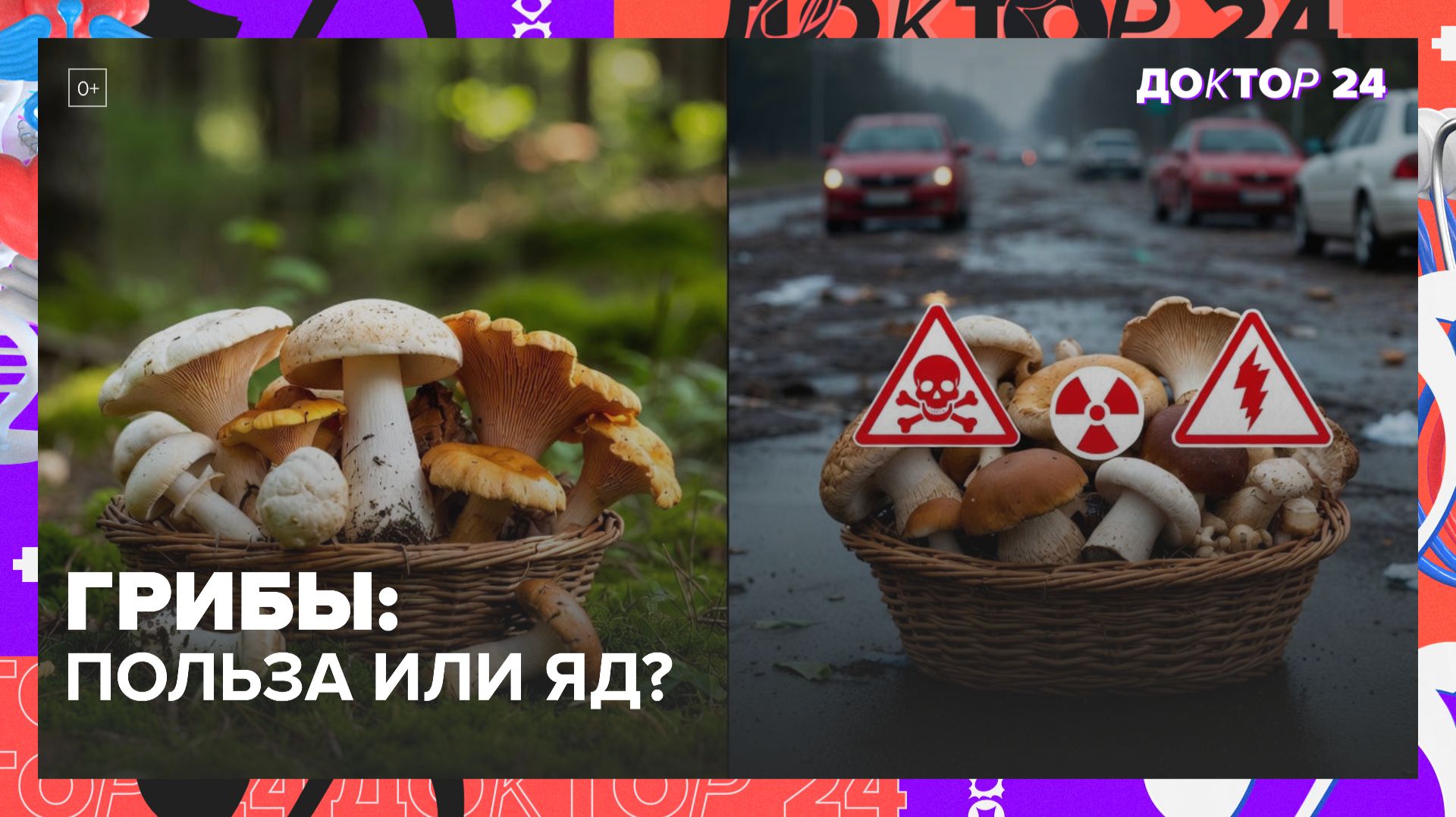 ГРИБЫ: ПОЛЬЗА И ВРЕД ДЛЯ ЗДОРОВЬЯ – НАКАПЛИВАЮТ ТОКСИНЫ, ЗАМЕНЯЮТ МЯСО? | Доктор 24