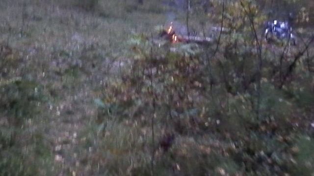 На озере Чистово  13. 09.2014  3 часть