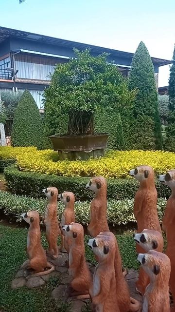 Ты знал, что такой сад есть в Таиланде? Что скрывает Nong Nooch?