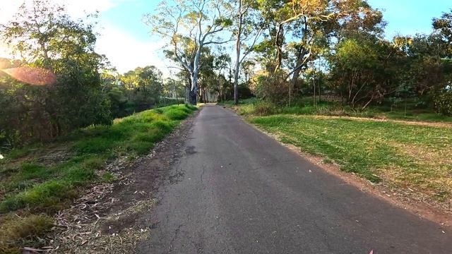 Приятная вечерняя прогулка по городскому парку.
