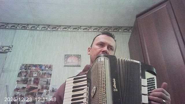 Аккордеон: "Во кузнице"