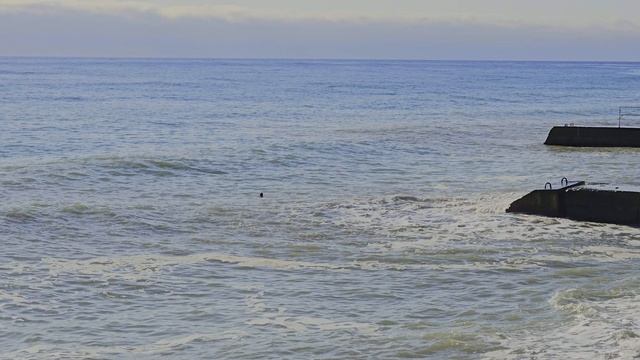 Одинокий храбрец.