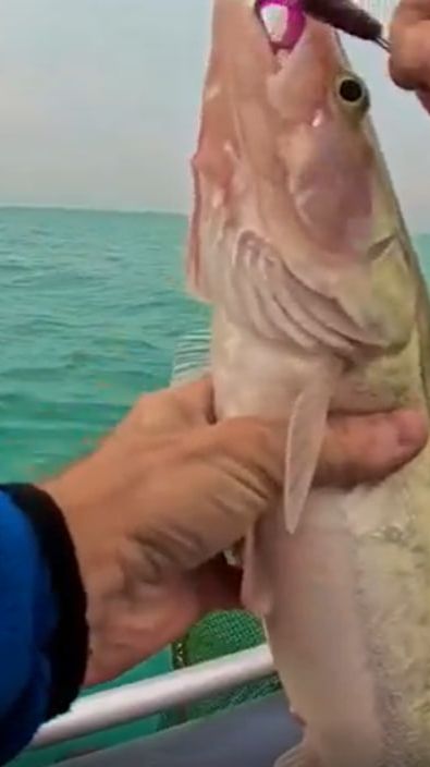 Рыбалка. Электростанция ЭНЕРГИЯ 300 от ARTELV.