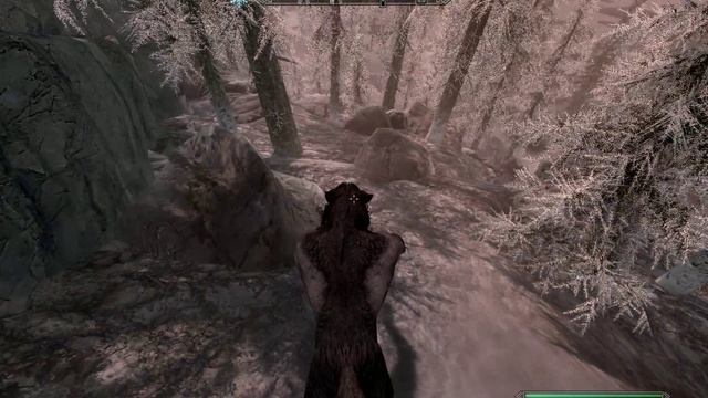 Скайримские будни 50. Мороз у замка Волкихар