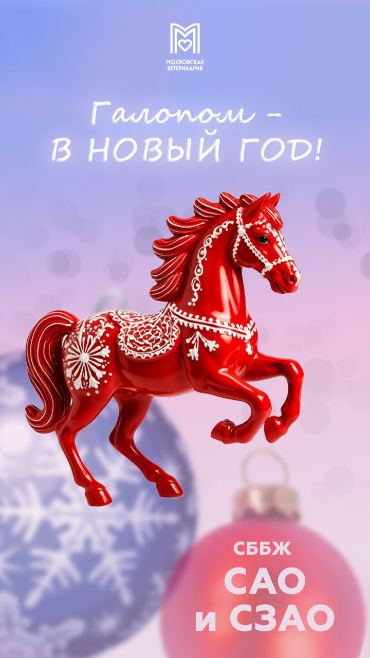 Галопом в Новый год! 🎄 СББЖ САО и СЗАО