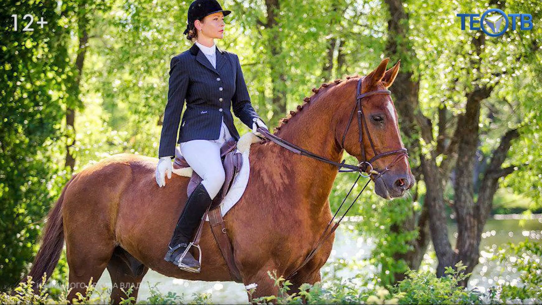 Год лошади: о настоящей дружбе человека и животного