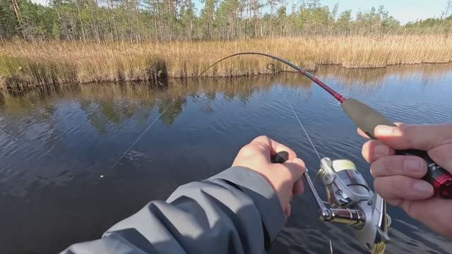 Карелия 2025 день 4 (ветер)