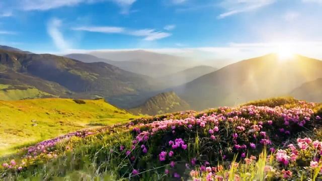 Архимандрит Лазарь(Абашидзе).Как можем мы обманываться в себе думая что имеем любовь к ближнему.