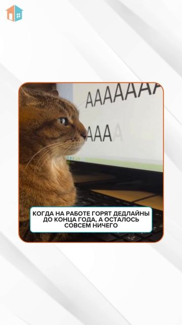 Рабочие будни