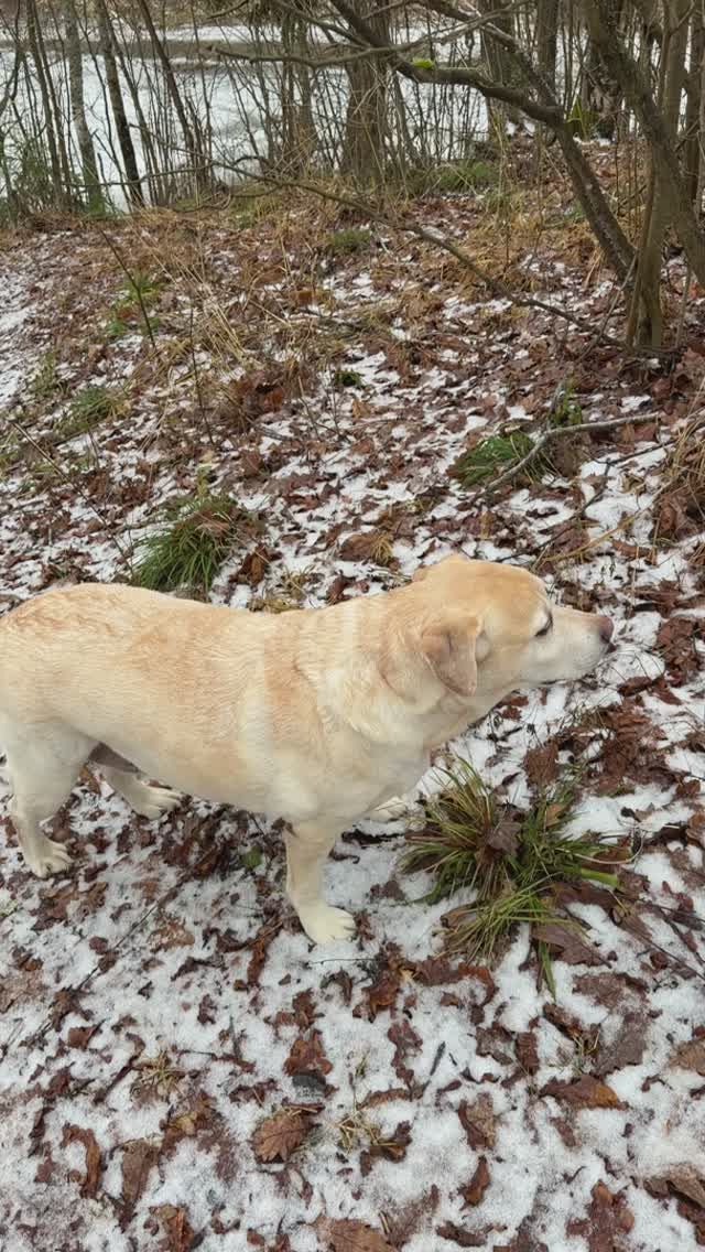 Александровская плотина. anzl.ru