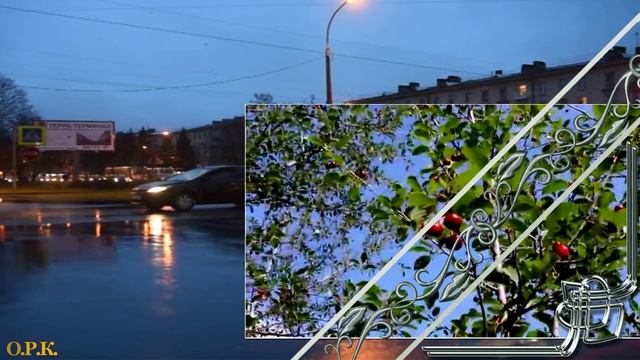 ЖИВИ МОЙ ДРУГ НЕ ГЛЯДЯ НА ДРУГИХ