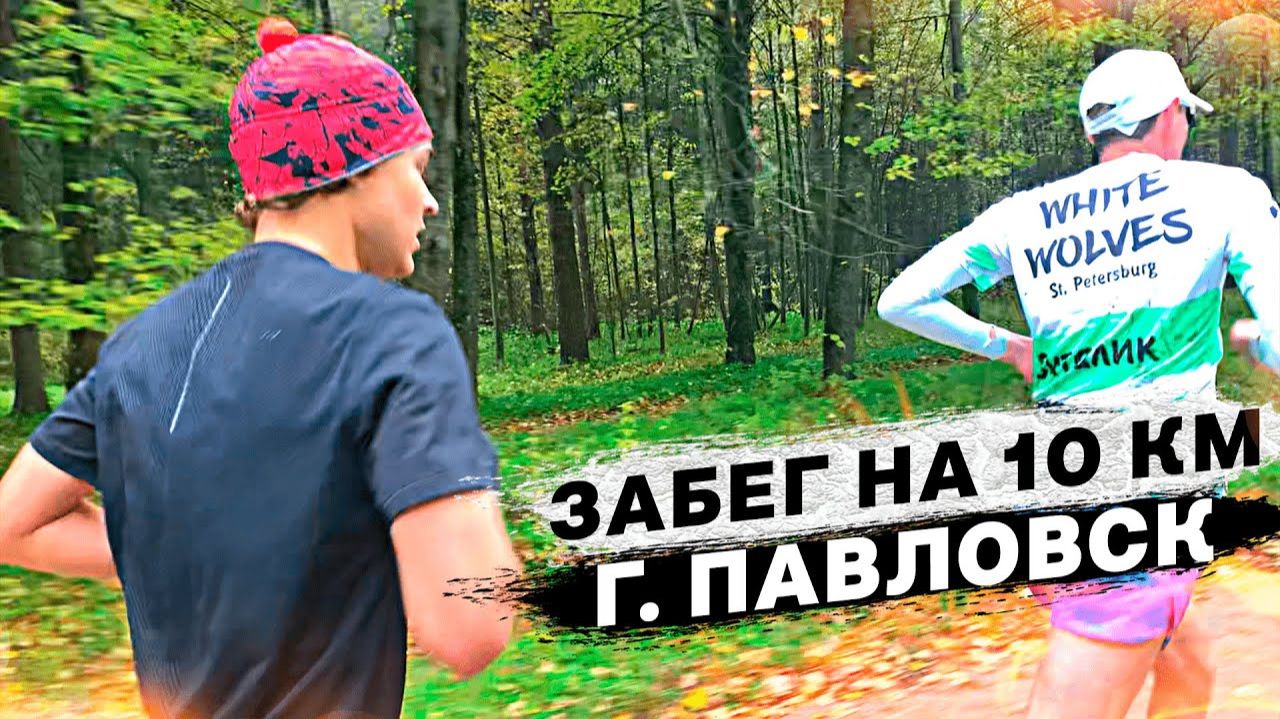 Забег на 10 км. Осенний Павловский забег 02.10.2022