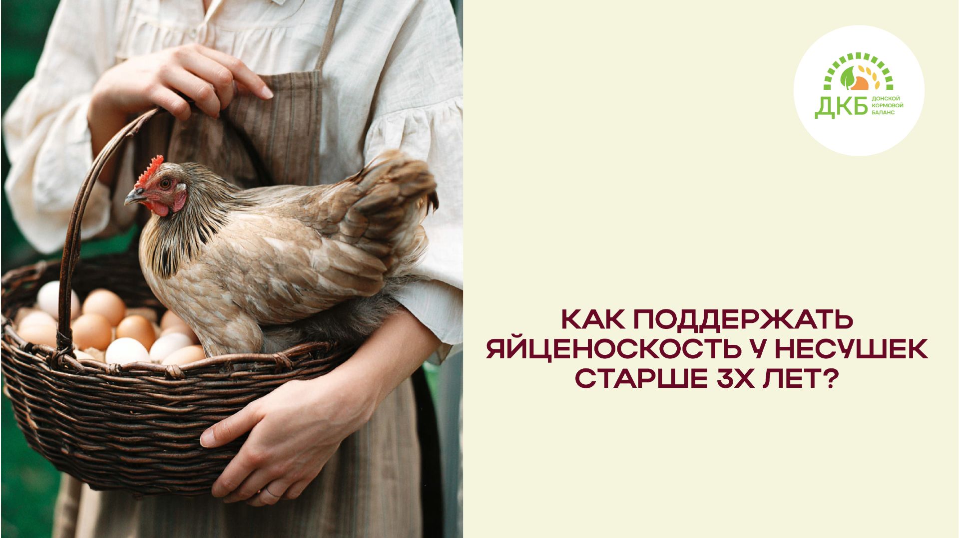 Повышаем яйценоскость у несушек старше 3х лет | Подготовка коз к случке