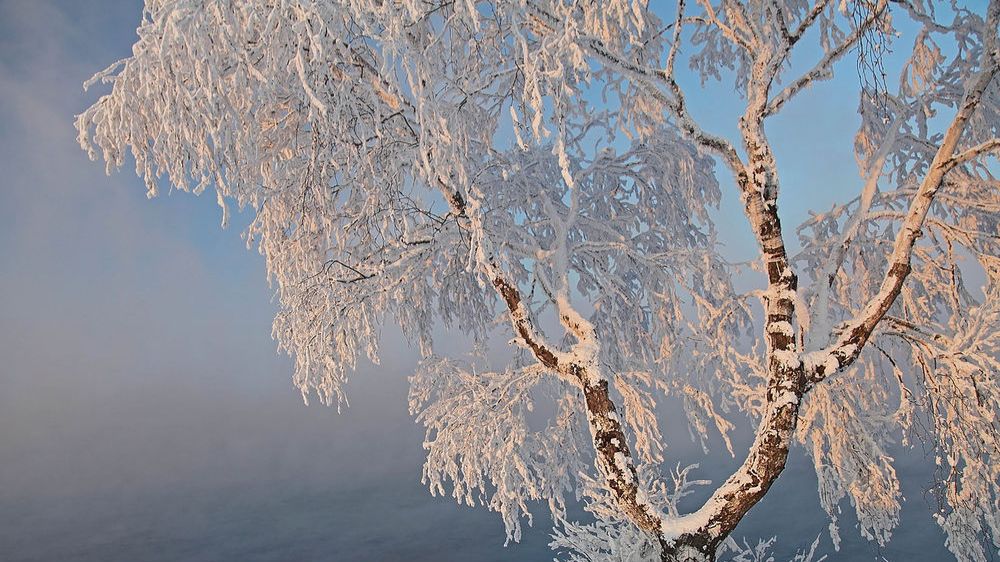 Слайд-песня - Зима- мои стихи с ИИ
