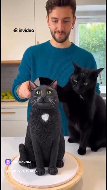 Приколы с животными