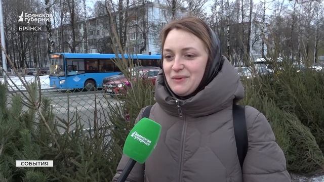 Ёлки, сосны и лапник: в Брянске заработали предновогодние базары