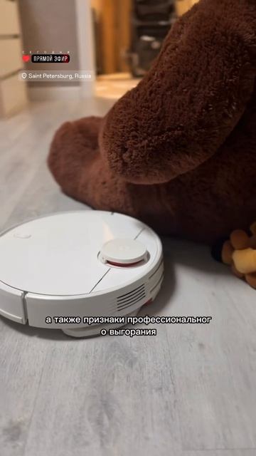 Производство шерсти