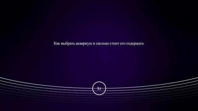 Как выбрать аквариум и сколько стоит его содержать