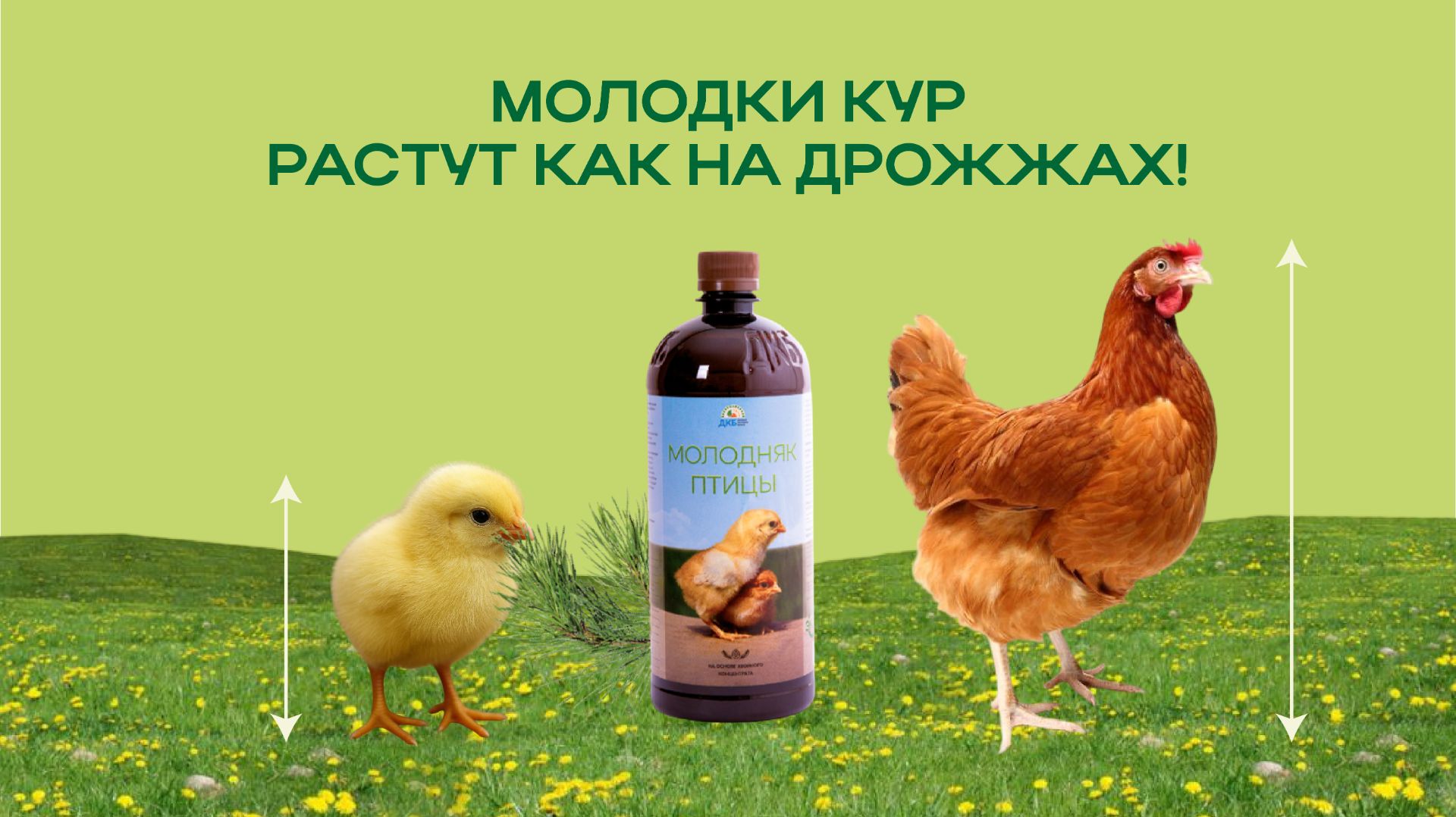 Обзор продукции ДКБ: для коз, молодняка птицы, быков