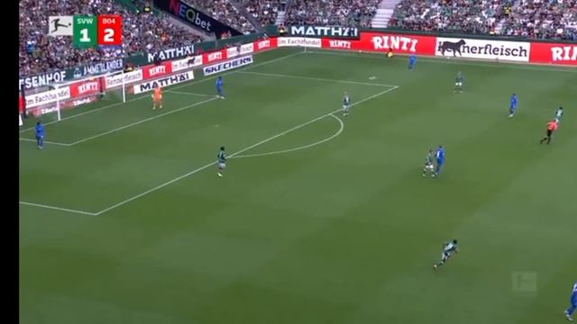 Вердер-Байер