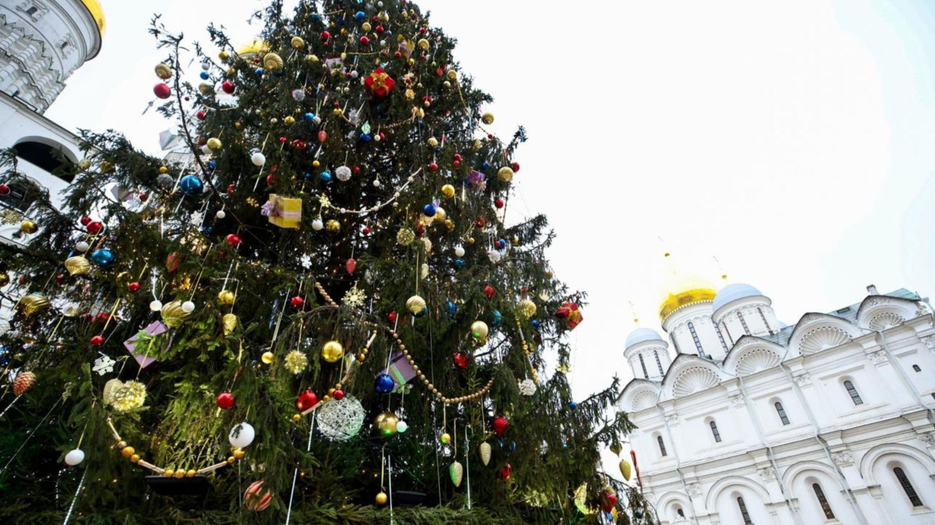 Главную ель России украсили на Соборной площади в Москве
