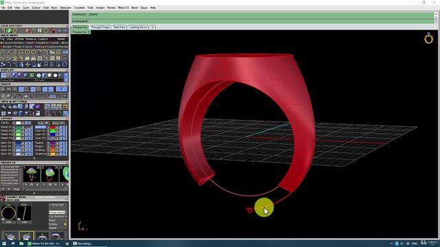15 -Signet ring second method