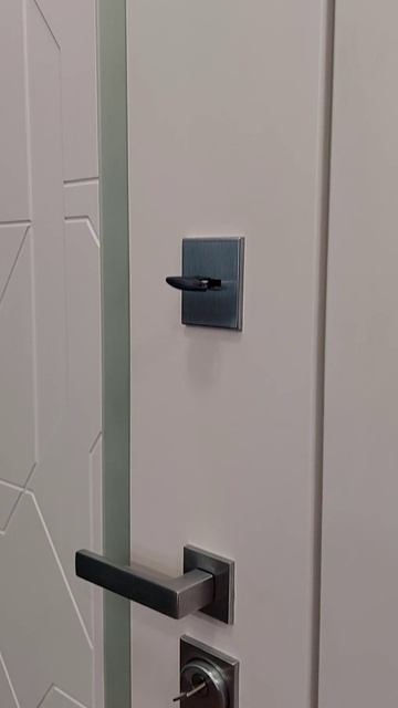 Входная дверь Асд Эверест с Зеркалом Белый матовый, Видеообзор