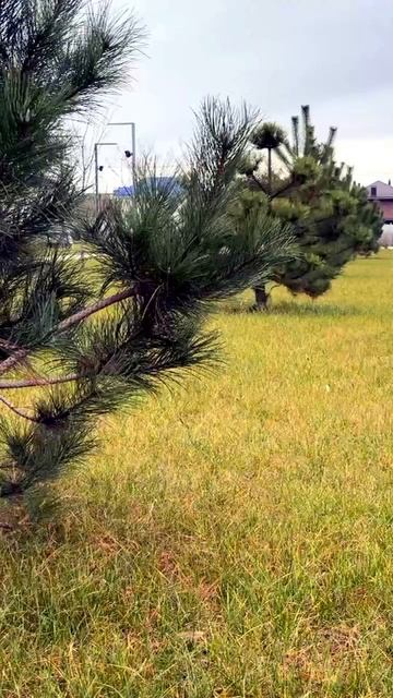 #Анапа2026 Крещенский парк