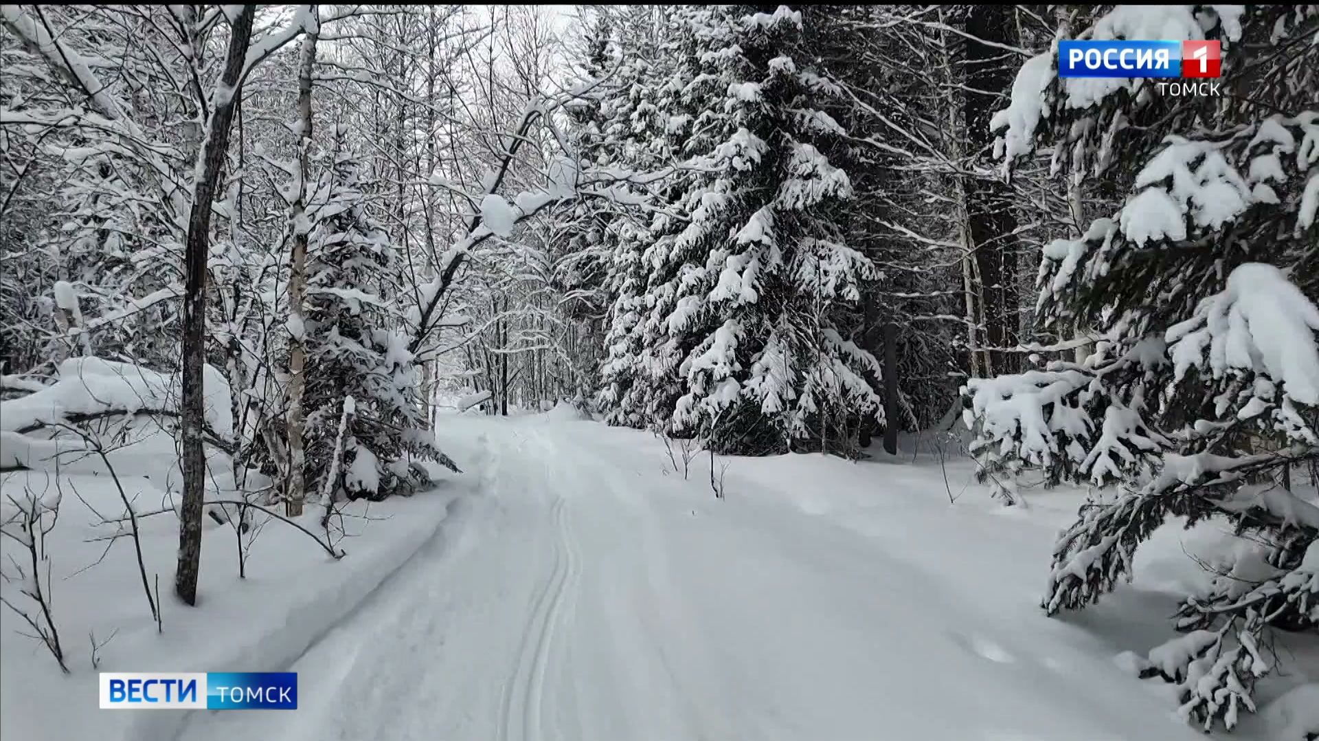 Вести-Томск, выпуск от 24.12.2025 11:30