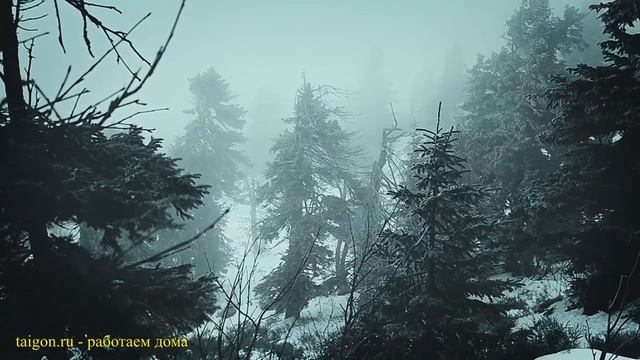 Великолепные пейзажи нашей планеты под музыкальные треки. Vol 1