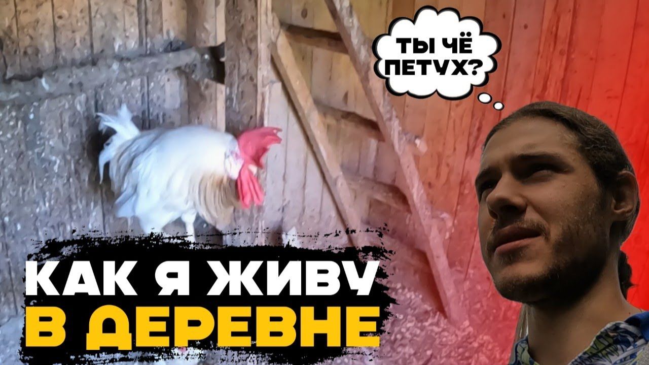 24 ЧАСА ЖИВУ В ДЕРЕВНЕ. Драка с петухом